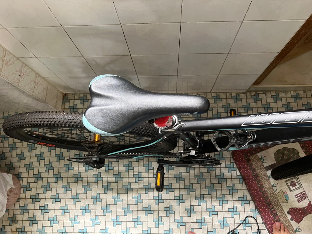 mountain bike wolf, Sports Equipment, Bicycles & Parts, Bicycles on Carousell