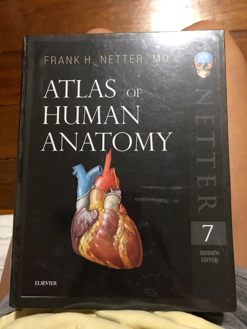 Netter’s Atlas of Human Anatomy (7th edition), Hobbies & Toys, Books ...