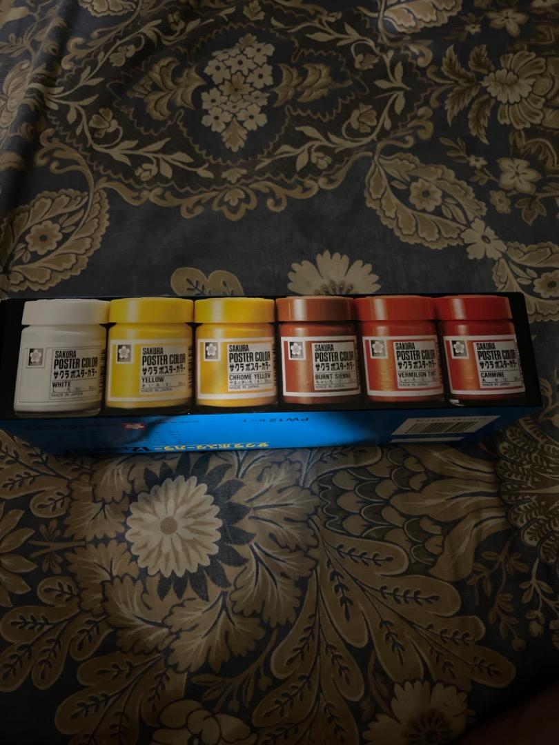 Sakura poster Color’s 12 colour set, Hobbies & Toys, Stationery & Craft ...