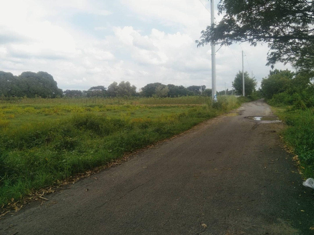 subdivided lot, Property, For Sale, Lot on Carousell