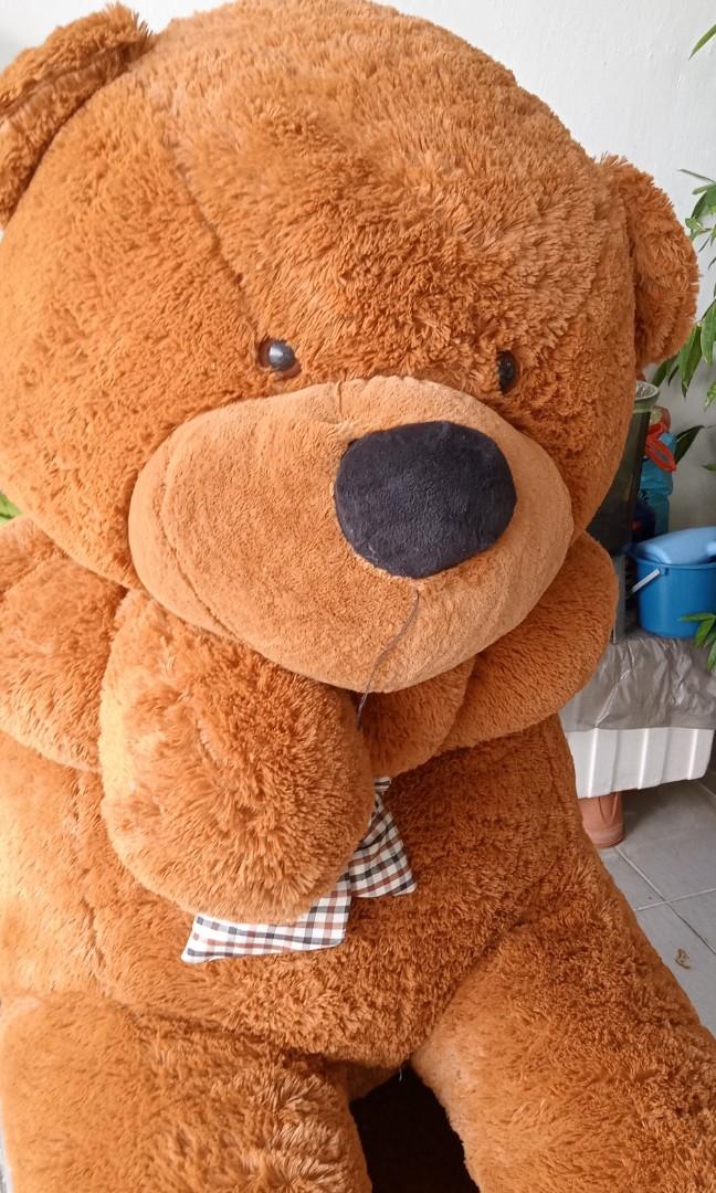 Teddy Bear 5 feet tall, Hobbies & Toys, Toys & Games on Carousell