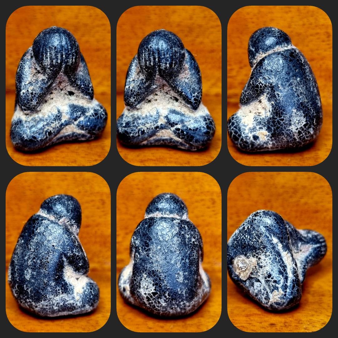 Tok Raja Snake Skin Pidta 2480, Hobbies & Toys, Memorabilia ...