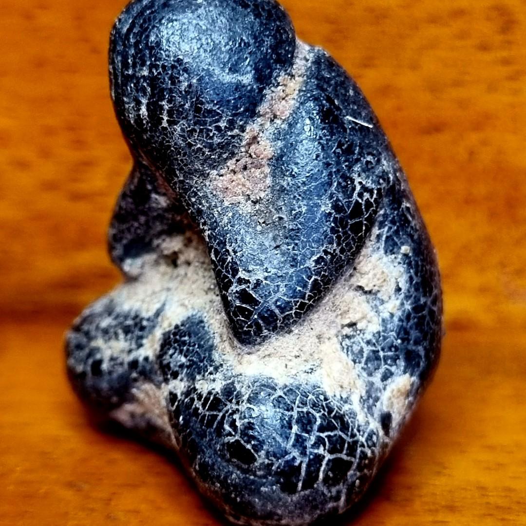 Tok Raja Snake Skin Pidta 2480, Hobbies & Toys, Memorabilia ...