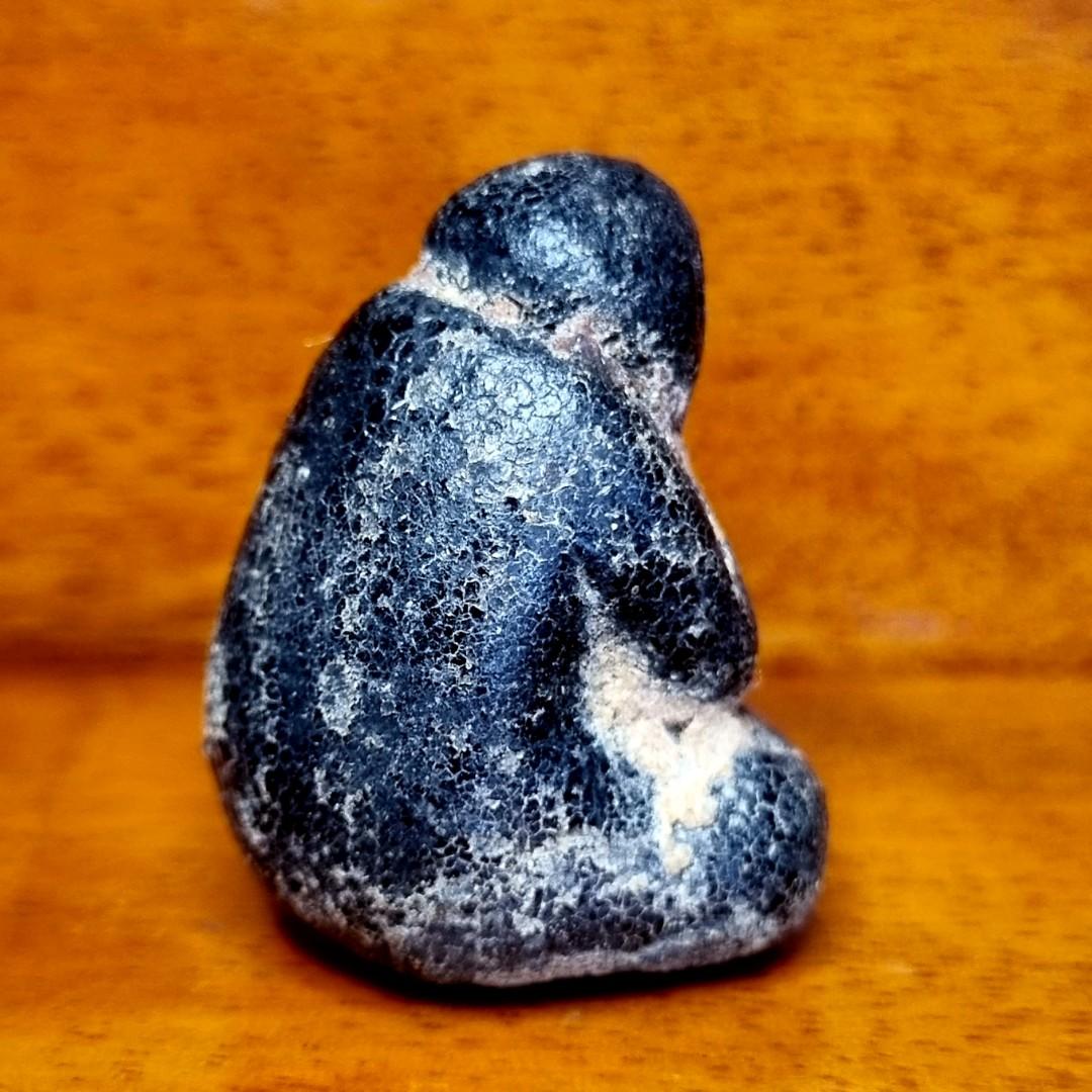 Tok Raja Snake Skin Pidta 2480, Hobbies & Toys, Memorabilia ...