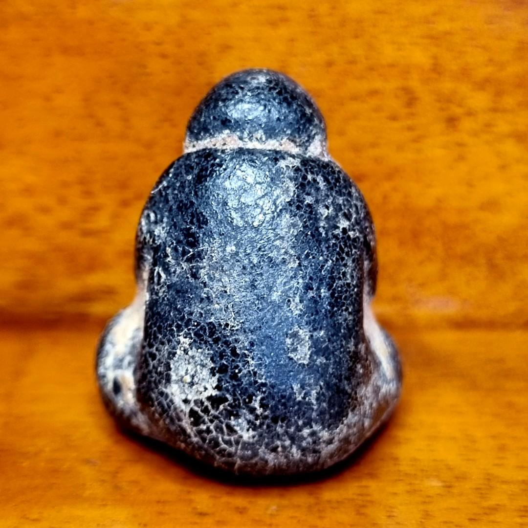 Tok Raja Snake Skin Pidta 2480, Hobbies & Toys, Memorabilia ...