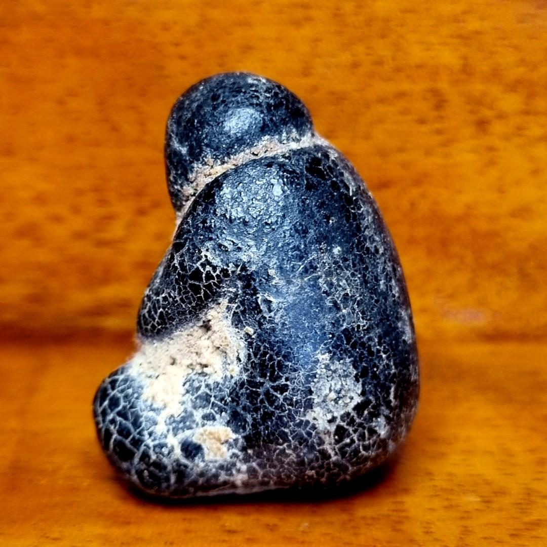 Tok Raja Snake Skin Pidta 2480, Hobbies & Toys, Memorabilia ...