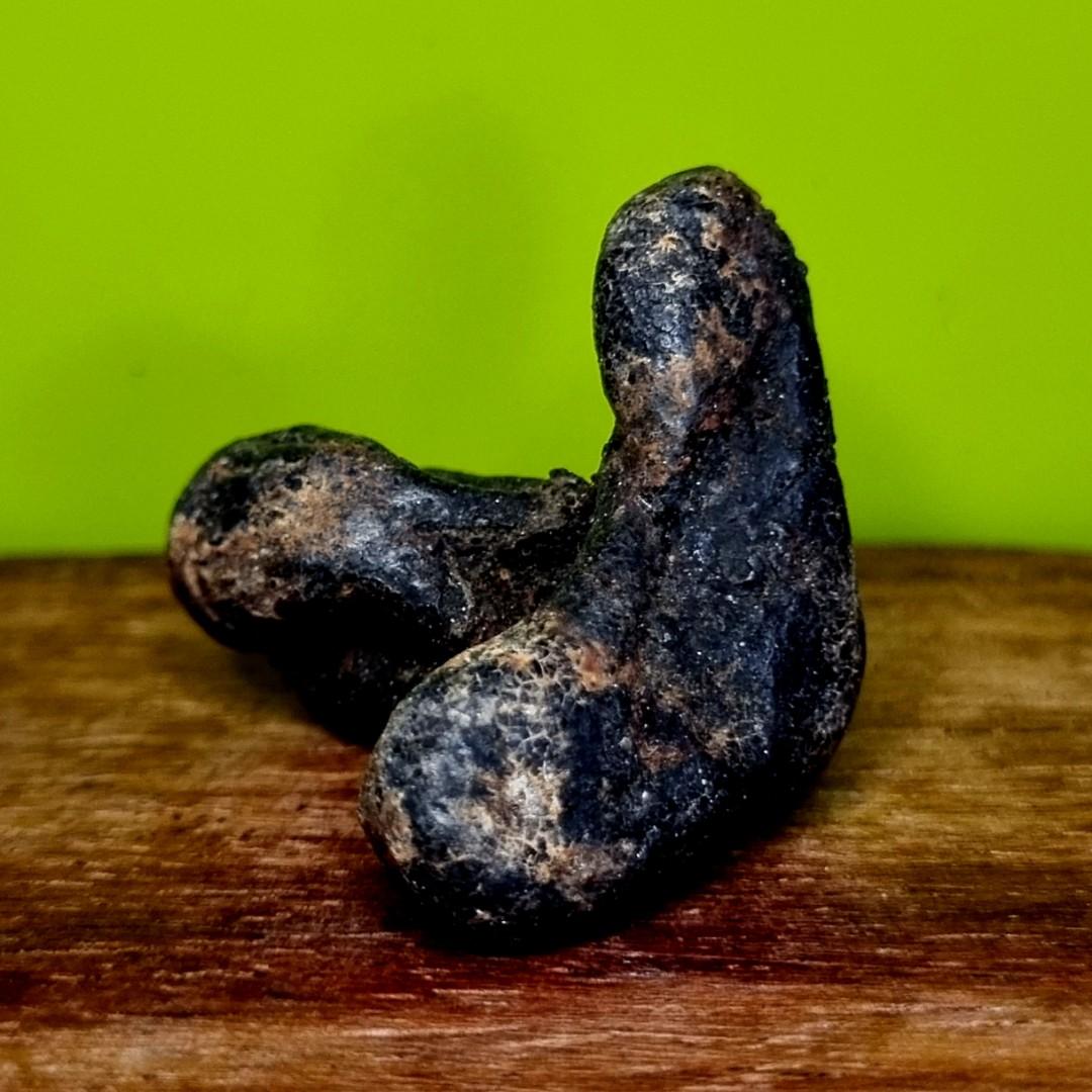 Tok Raja Snake Skin Pidta 2480, Hobbies & Toys, Memorabilia ...