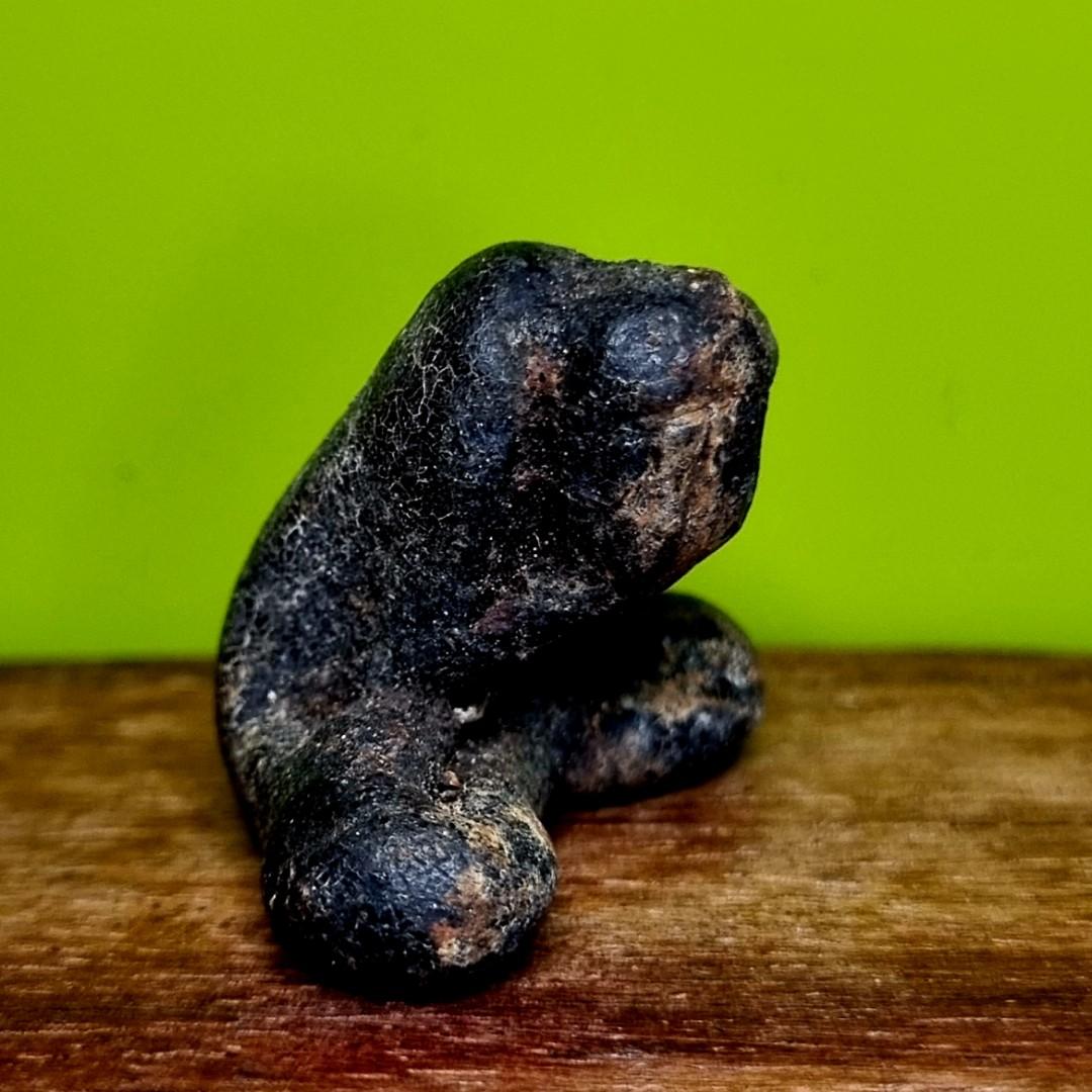 Tok Raja Snake Skin Pidta 2480, Hobbies & Toys, Memorabilia ...