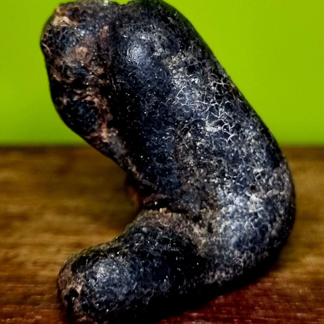 Tok Raja Snake Skin Pidta 2480, Hobbies & Toys, Memorabilia ...