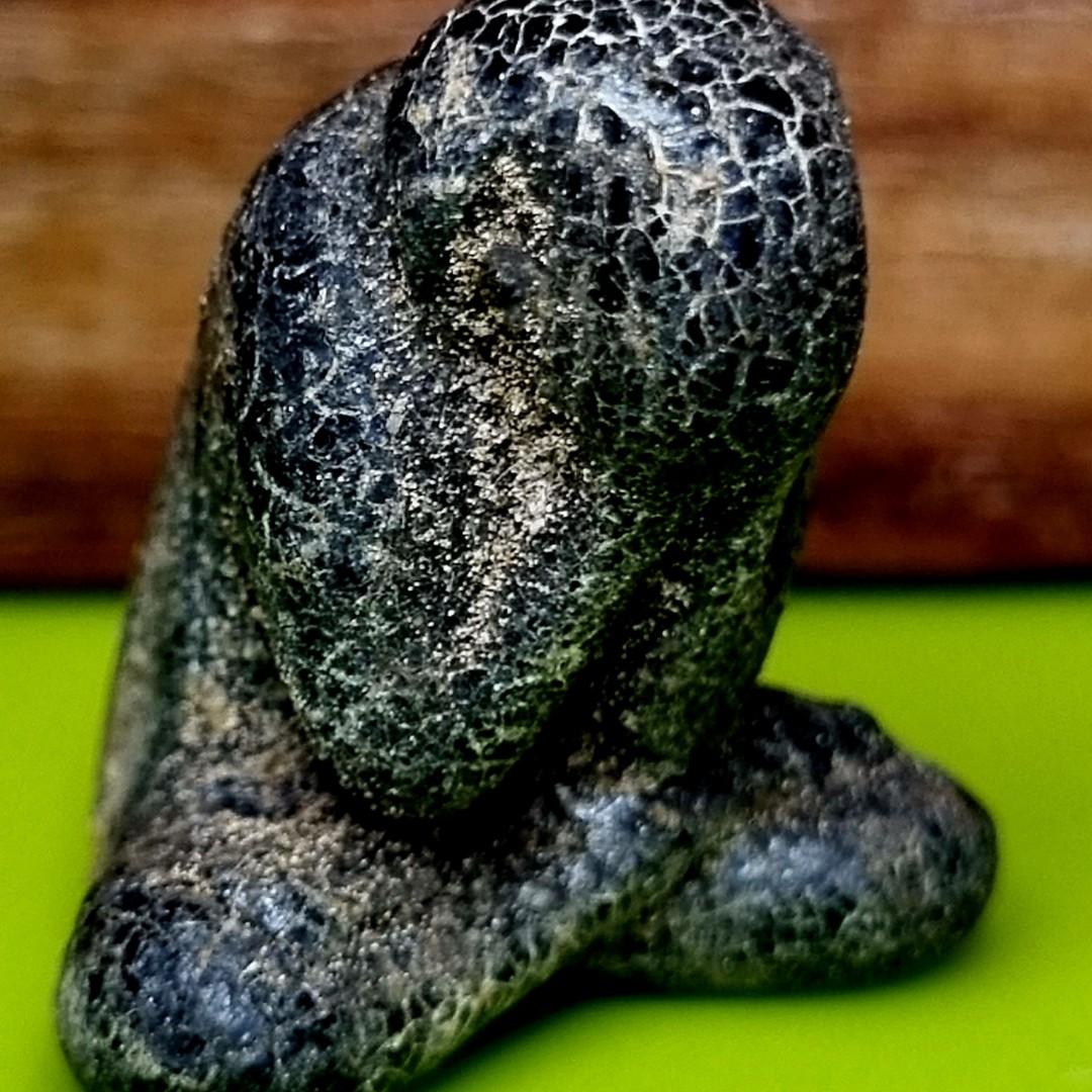 Tok Raja Snake Skin Pidta 2480, Hobbies & Toys, Memorabilia ...