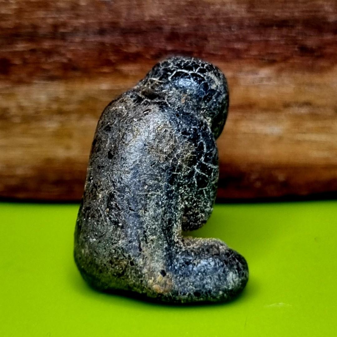 Tok Raja Snake Skin Pidta 2480, Hobbies & Toys, Memorabilia ...