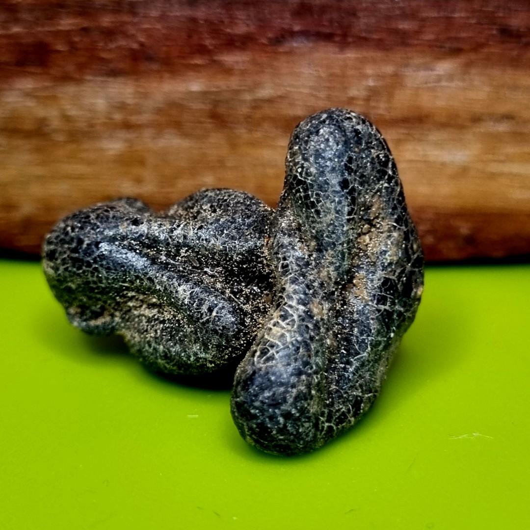 Tok Raja Snake Skin Pidta 2480, Hobbies & Toys, Memorabilia ...