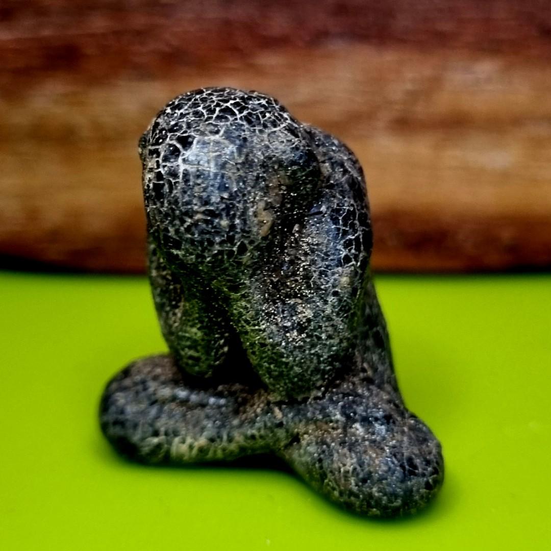 Tok Raja Snake Skin Pidta 2480, Hobbies & Toys, Memorabilia ...