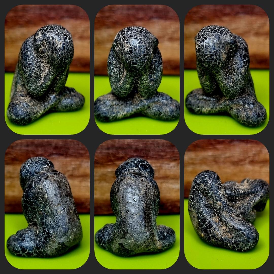 Tok Raja Snake Skin Pidta 2480, Hobbies & Toys, Memorabilia ...