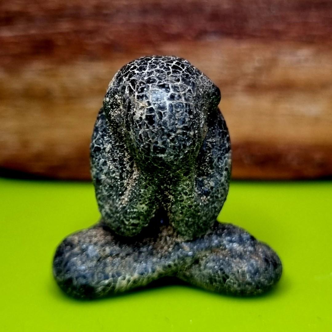 Tok Raja Snake Skin Pidta 2480, Hobbies & Toys, Memorabilia ...