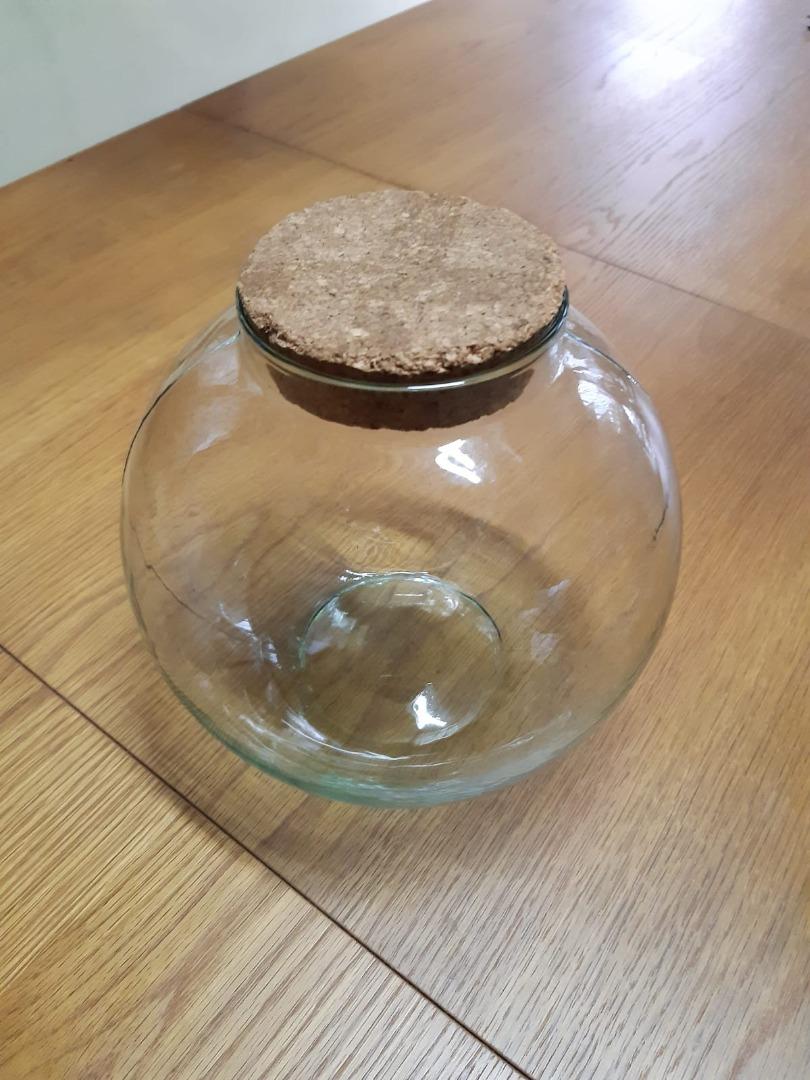 Unique round glass terrarium jar / bowl with cork lid, Furniture & Home ...