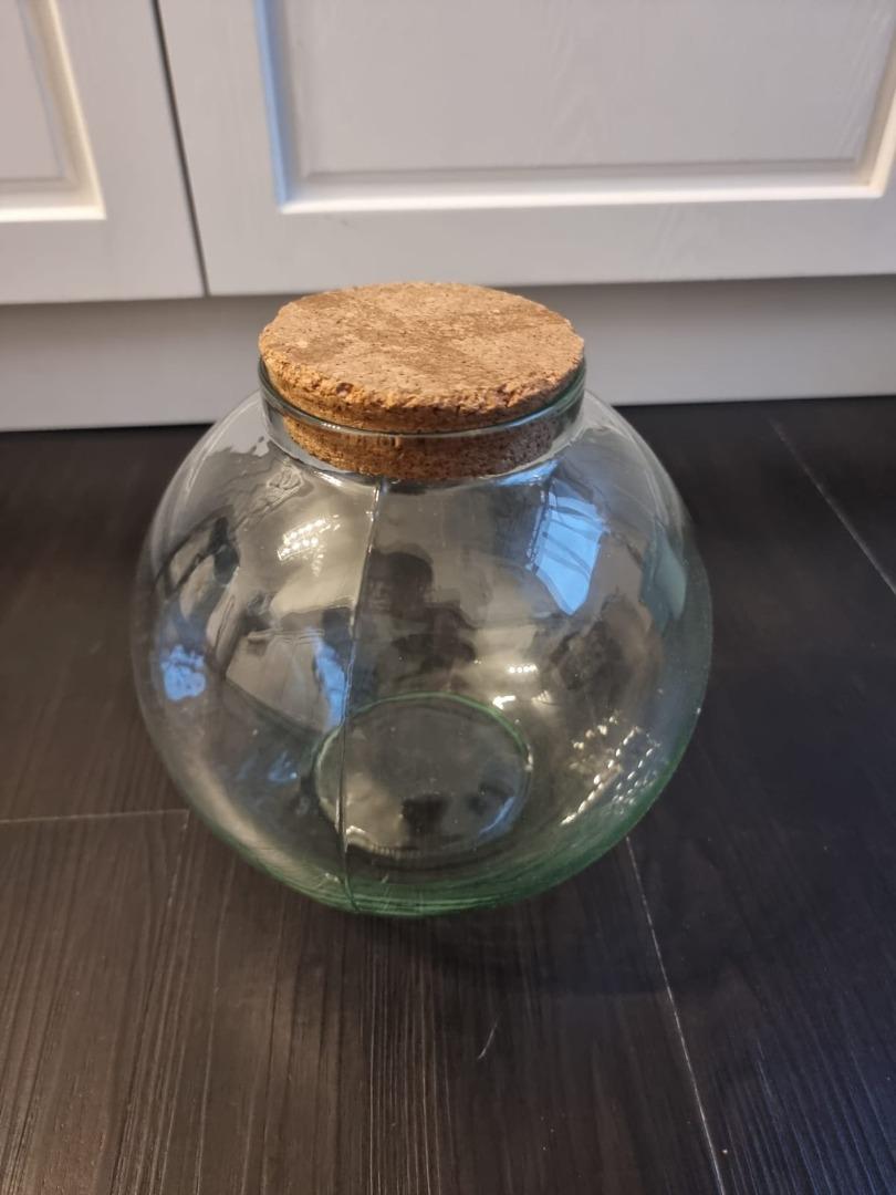 Unique round glass terrarium jar / bowl with cork lid, Furniture & Home ...
