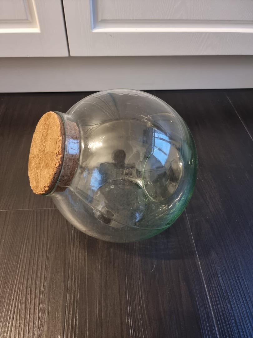 Unique round glass terrarium jar / bowl with cork lid, Furniture & Home ...