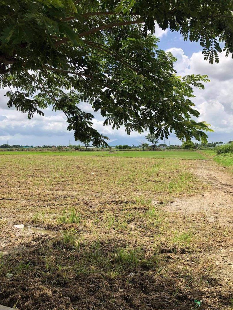 CANDABA PAMPANGA, Property, For Sale, Lot on Carousell