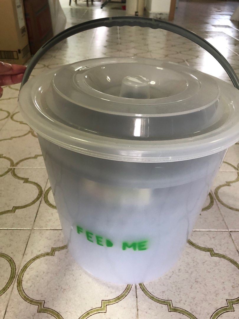 Compost Tub / Pail, Furniture & Home Living, Gardening, Gardening Tools ...