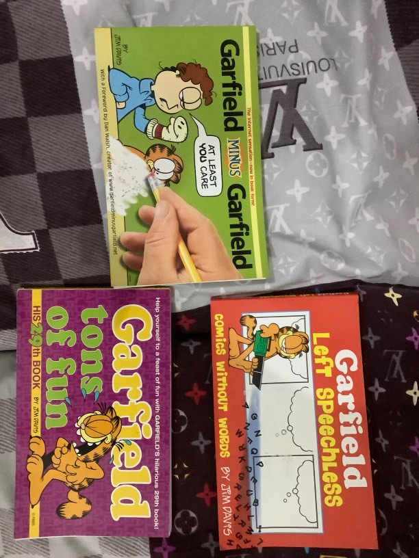 Garfield Comic Books Bundled, Hobbies & Toys, Books & Magazines, Comics ...