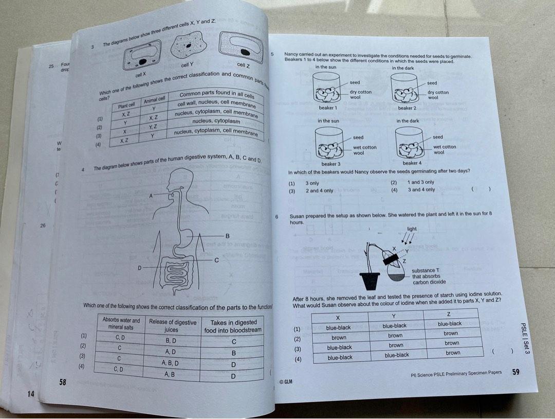 GLM P6 PSLE Science Specimen Papers, Hobbies & Toys, Books & Magazines ...