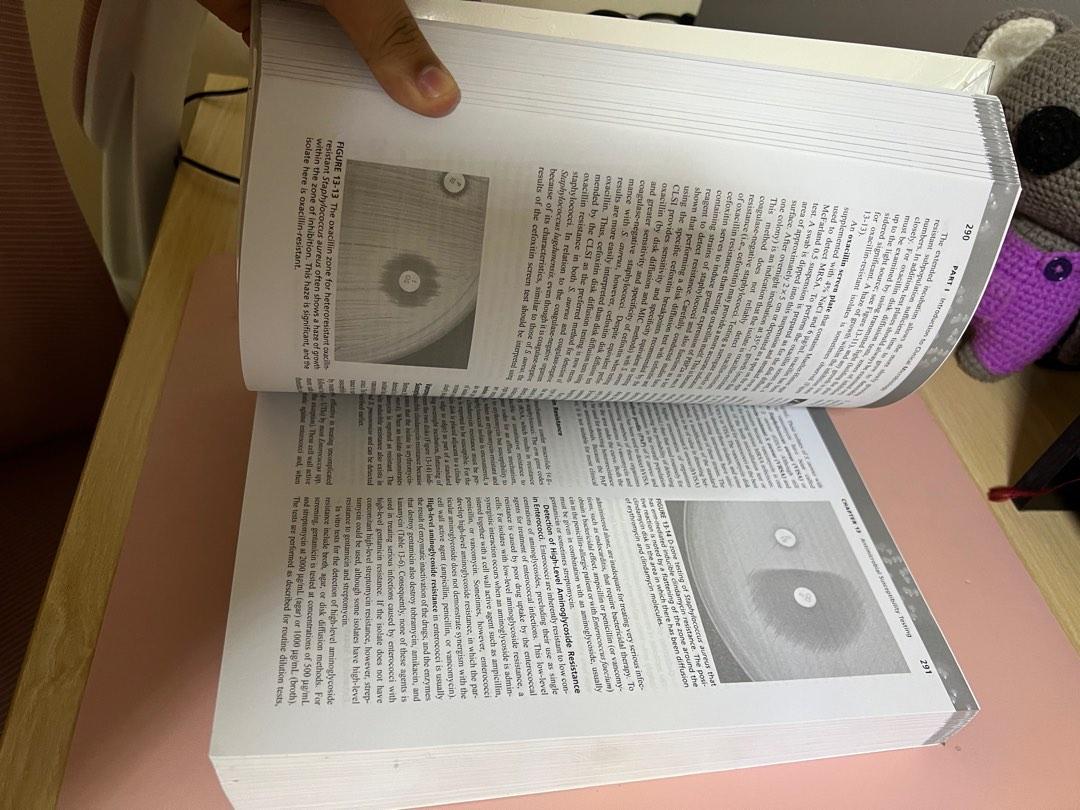 Microbiology Book by Mahon, Hobbies & Toys, Books & Magazines ...