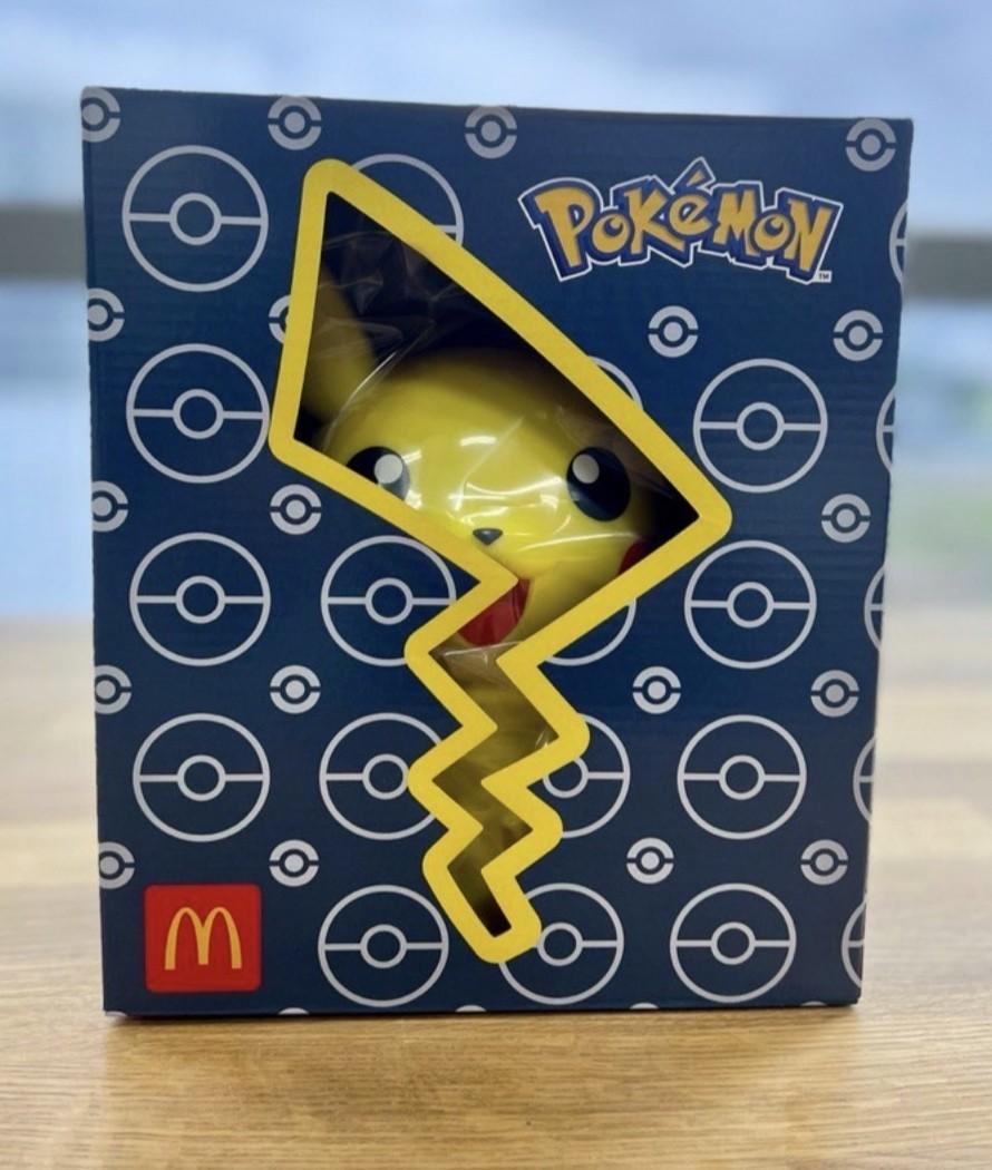 Pokemon Carrier, Hobbies & Toys, Toys & Games on Carousell