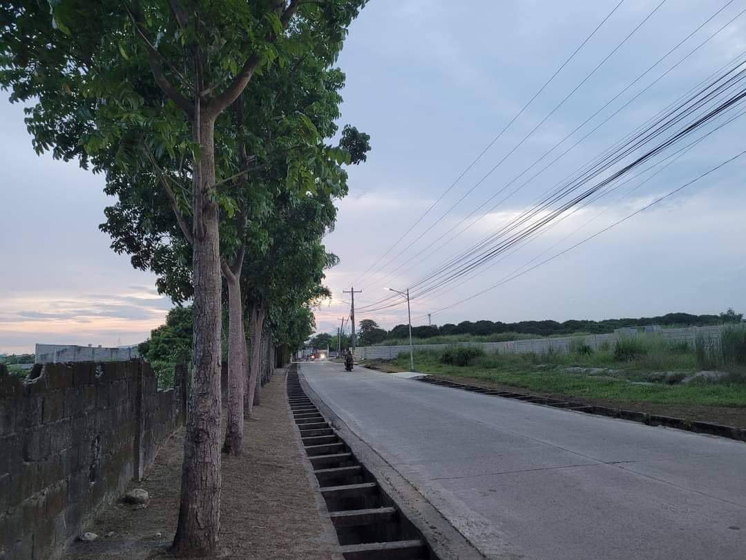 Rawland for sale Bical Mabalacat Pampanga 3 hectares, Property, For ...