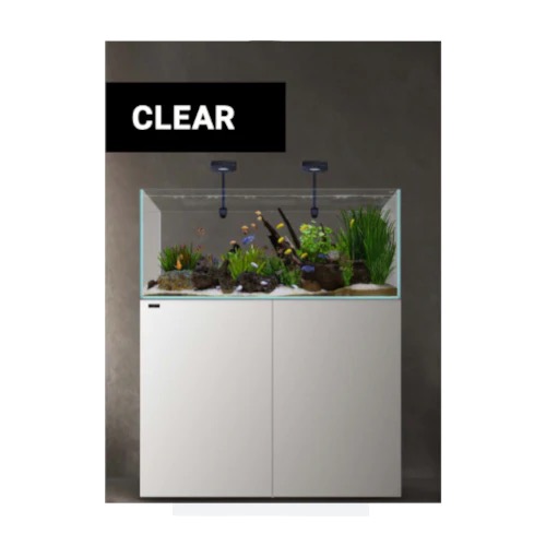 Waterbox Clear, Pet Supplies, Homes & Other Pet Accessories on Carousell
