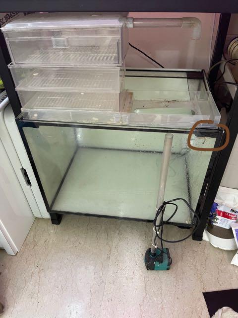 2Ft Fish Tank 2 x 1.5 x 1.5Ft 60cm with OHF filter and pump, Pet ...
