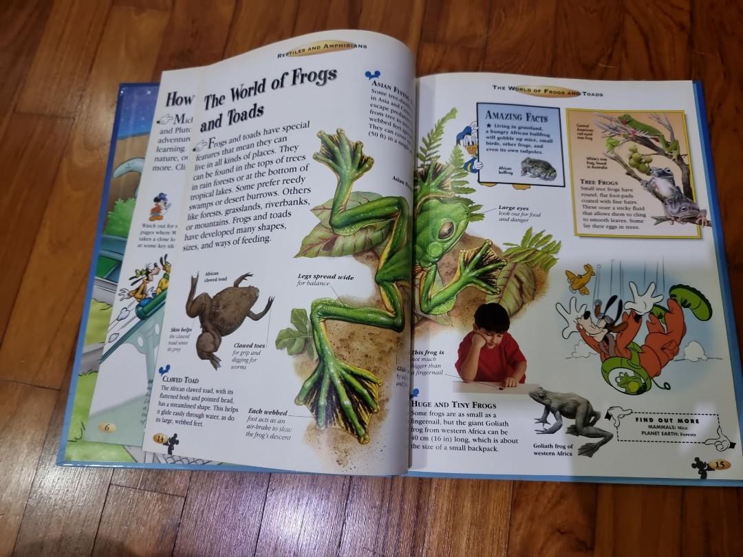 Disney Encyclopedia Set, Hobbies & Toys, Books & Magazines, Children's ...