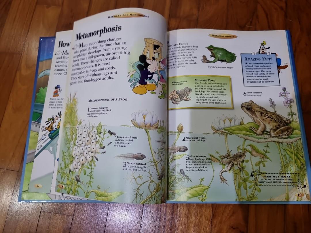 Disney Encyclopedia Set, Hobbies & Toys, Books & Magazines, Children's ...