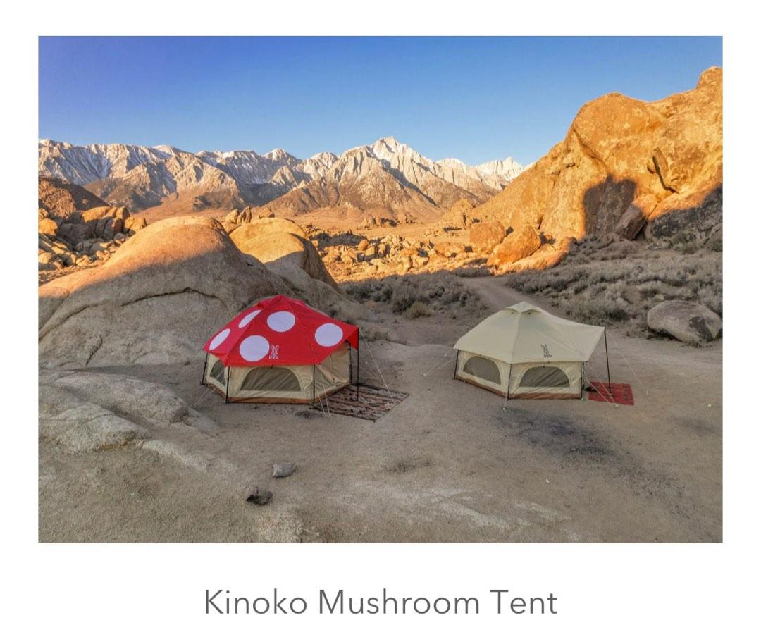 DoD tent (instant setup), Sports Equipment, Hiking & Camping on Carousell