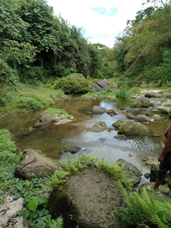 Farm with river for sale, Property, For Sale, Lot on Carousell