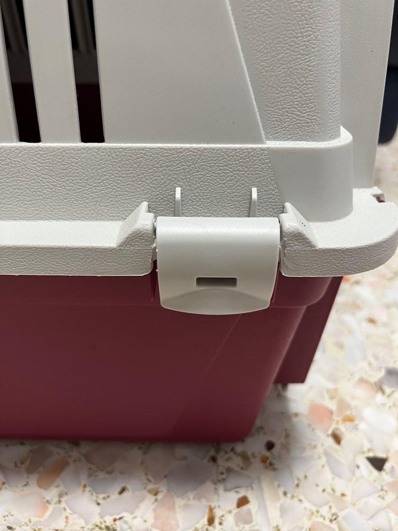 Ferplast Pet Carrier with Free Water Feeder, Pet Supplies, Homes ...