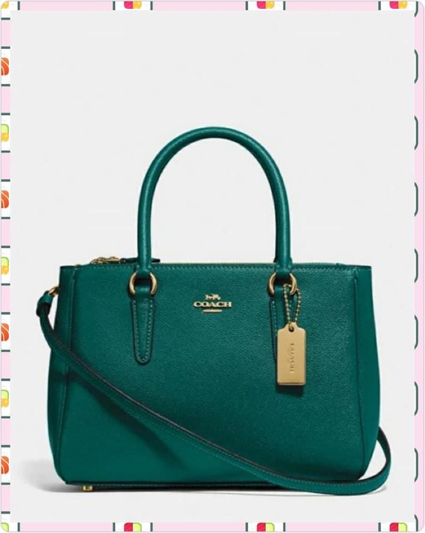 Mini Surrey Carry all / Coach, Luxury, Bags & Wallets on Carousell
