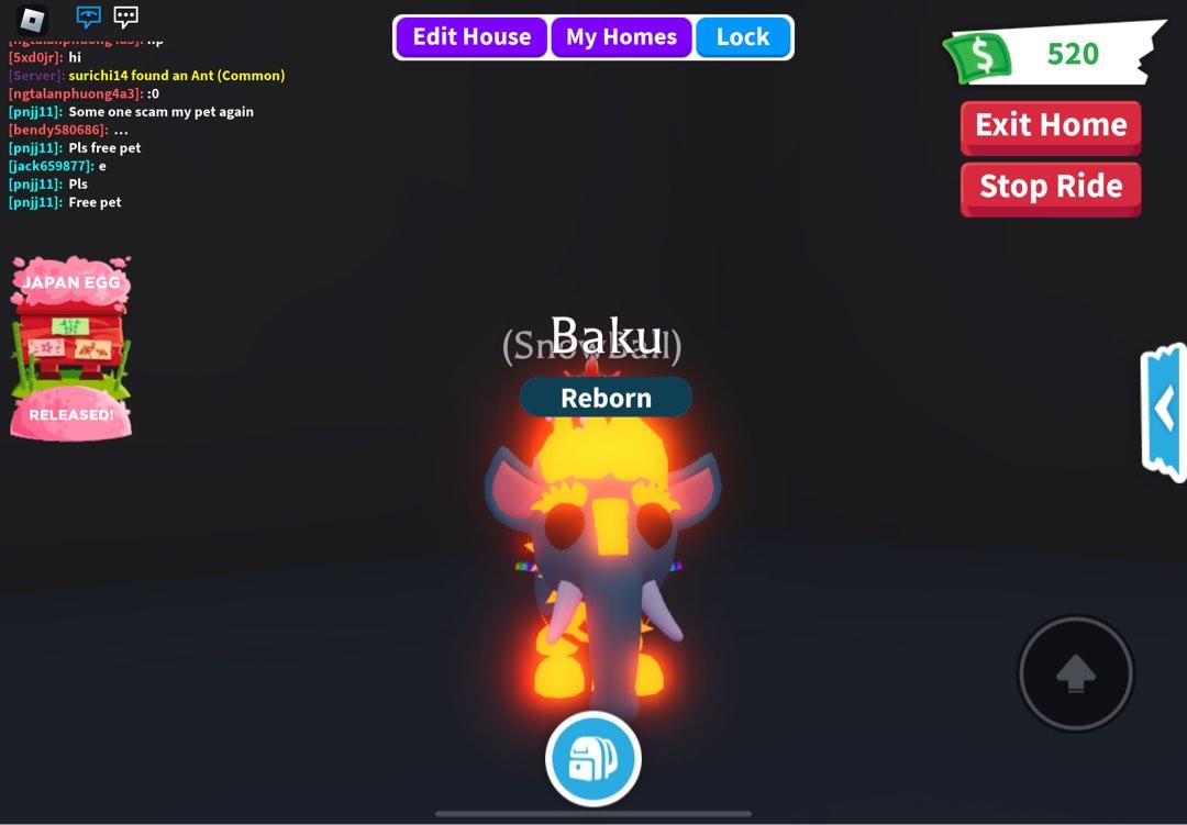 Neon Fly Ride Baku - Roblox Adopt me pet * FAST DELIVERY AND CHEAP ...