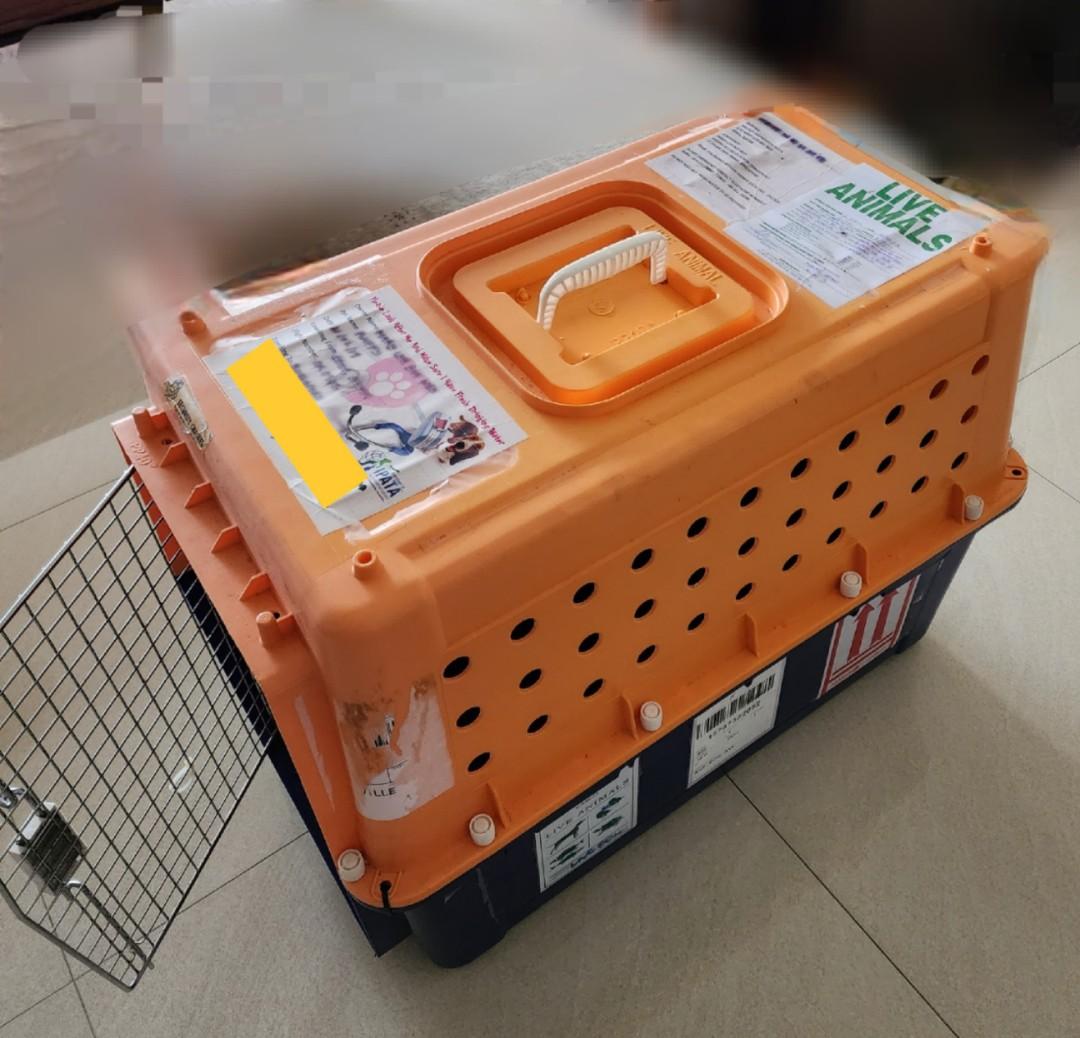PP40 Airline Compliant Pet Carrier Crate. Used once, Pet Supplies ...