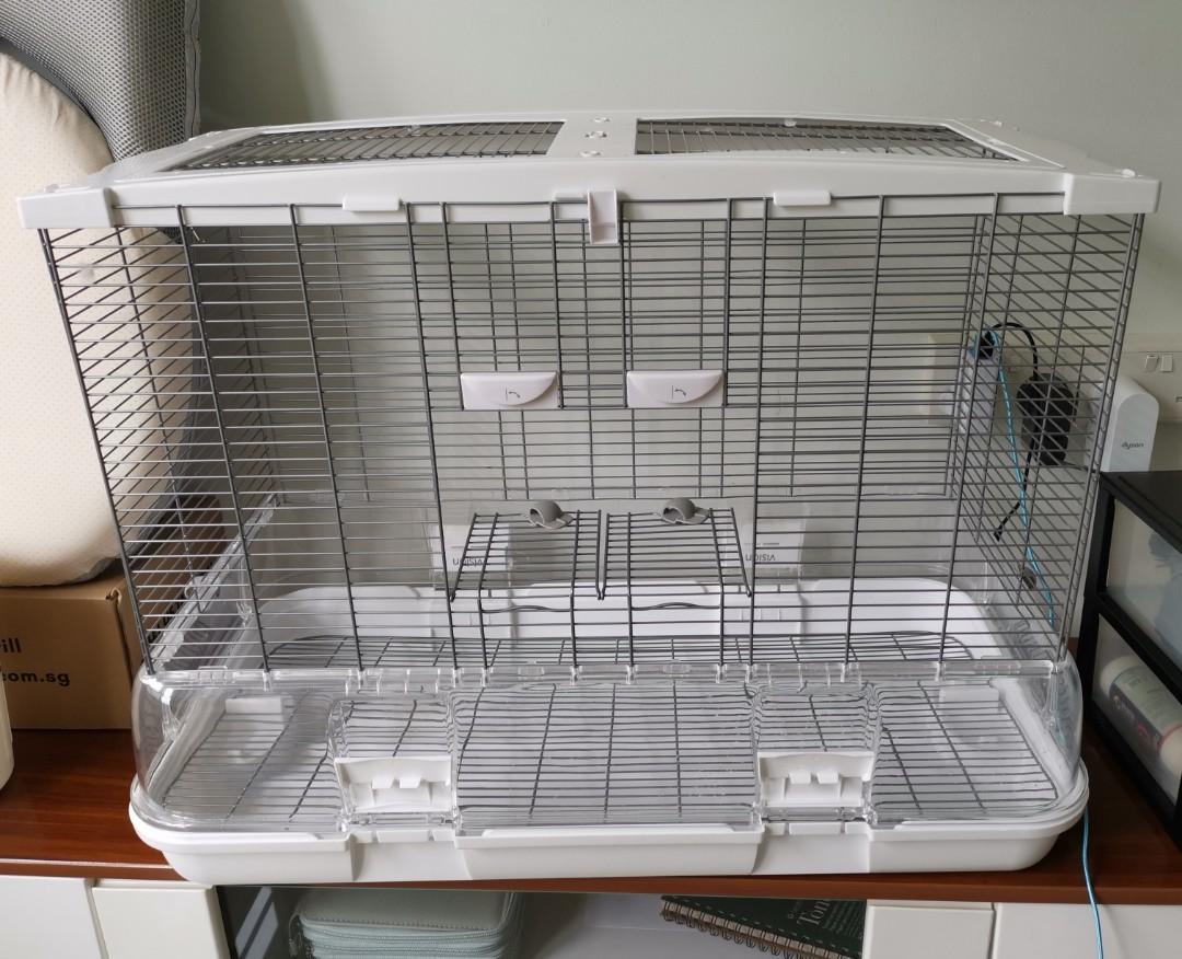 VISION Bird Cage, Pet Supplies, Homes & Other Pet Accessories on Carousell