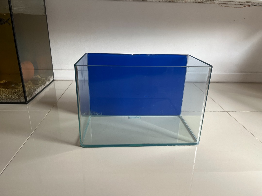 1 foot fish tank, Pet Supplies, Homes & Other Pet Accessories on Carousell