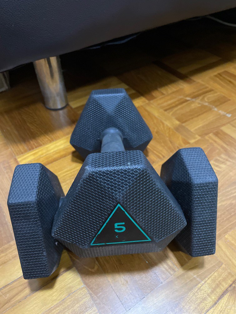 5kg dumbbells, Sports Equipment, Exercise & Fitness, Weights ...