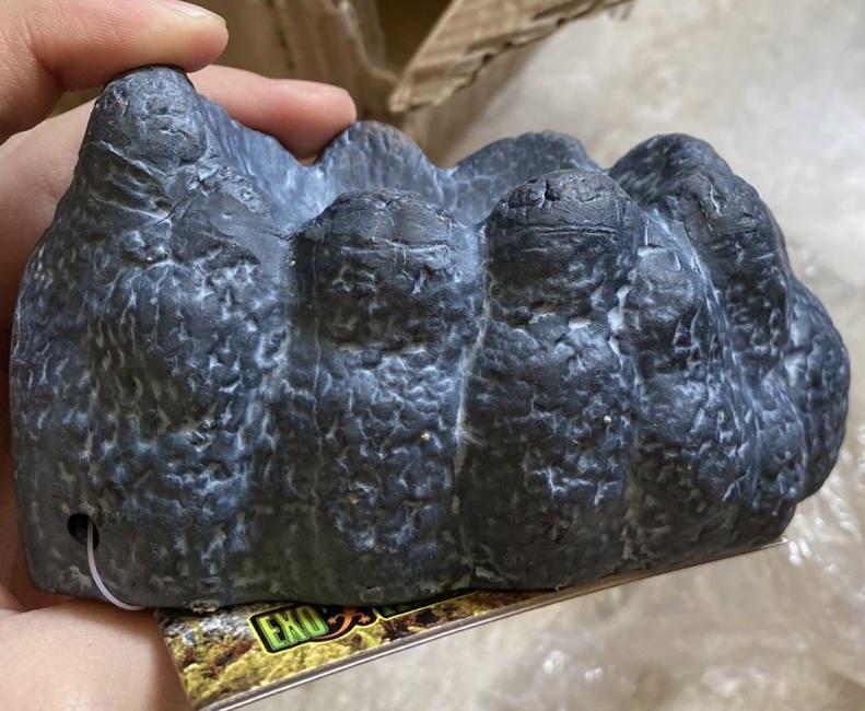 Ceramic gecko Cave Hide wet humid cave, Pet Supplies, Homes & Other Pet ...