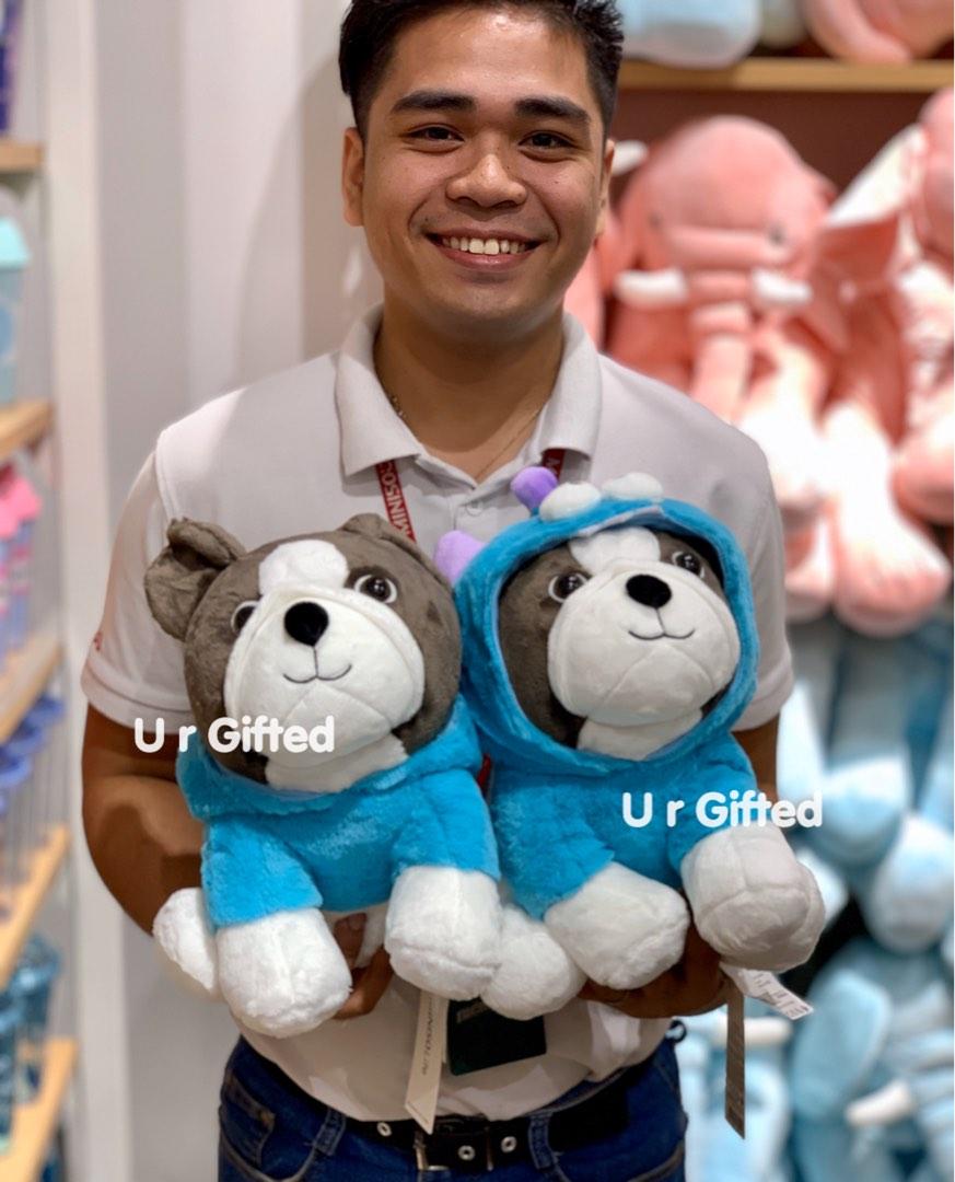 Dog Plush Toy by Miniso Pomeranian Bulldog, Hobbies & Toys, Toys ...