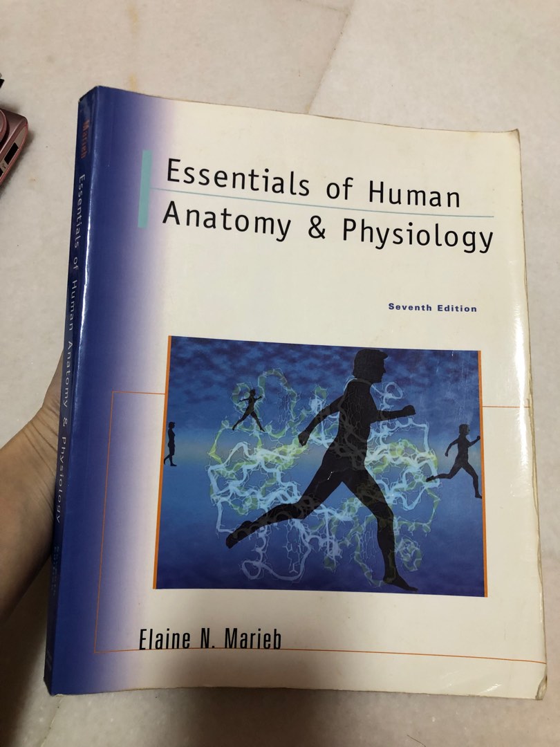 Essentials of human anatomy and physiology textbooks, Hobbies & Toys ...
