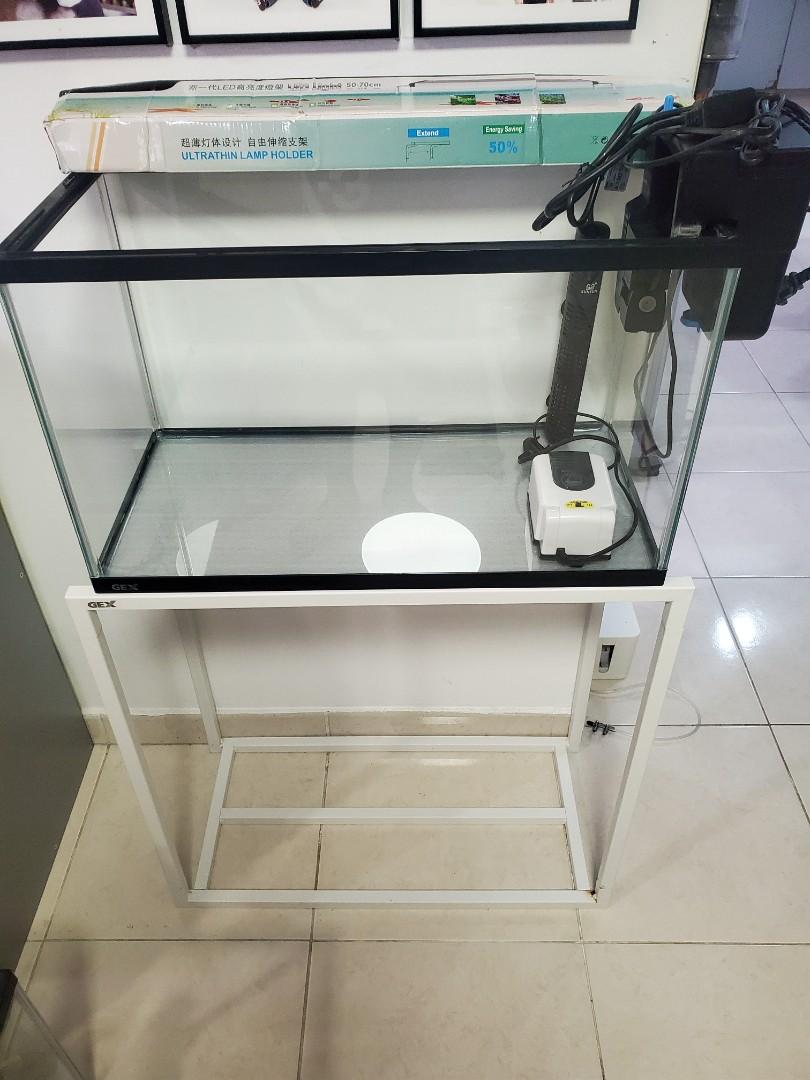 Gex 2ft Tanks and Stand, Pet Supplies, Homes & Other Pet Accessories on Carousell