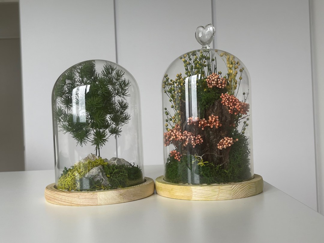 Hand build mini garden scape with high quality preserved ferns n moss ...