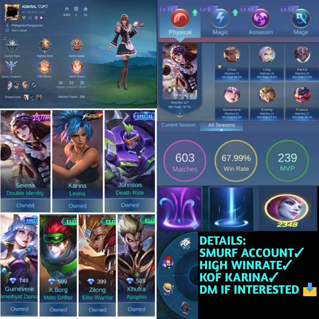 Mobile Legend Account | Smurf Acccount, Video Gaming, Gaming ...