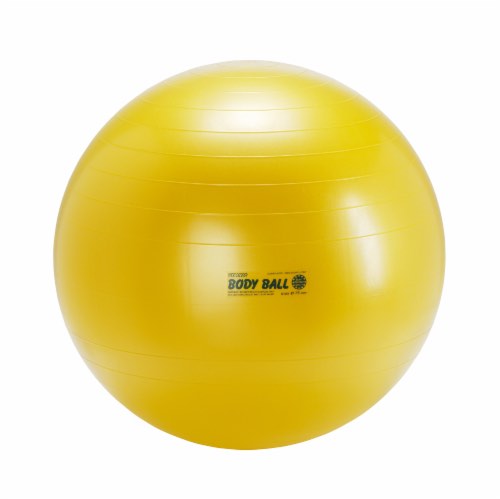 Pre-loved Gymnic Line Body Ball 75, Sports Equipment, Exercise ...