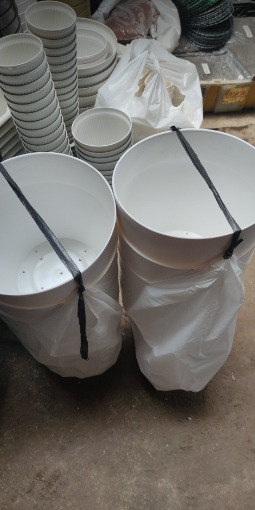 WHITE SMOOTH PEARL WAVE POTS FOR PLANTERS, Furniture & Home Living ...